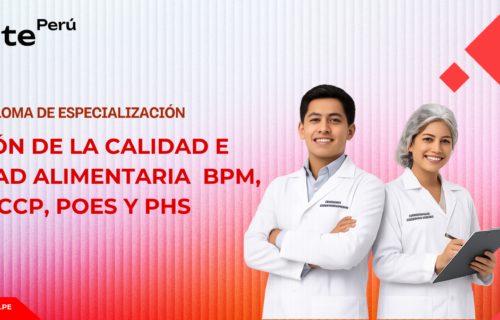 GESTIÓN DE LA CALIDAD E INOCUIDAD ALIMENTARIA BPM, HACCP, POES y PHS ...